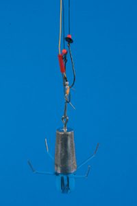 Bomber Rig – Total Fishing