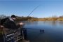 Cudmore Fisheries – Whitmore, Staffs – Total Fishing
