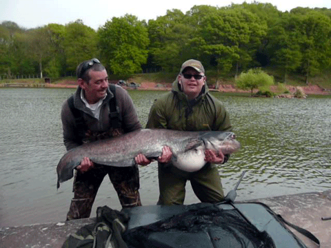 Chris hits the Shatterford Jackpot with a 68lb Cat – Total Fishing