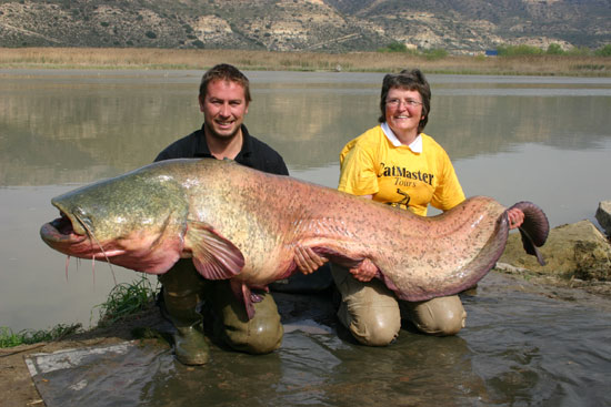 Linda’s giant Ebro catfish – Total Fishing