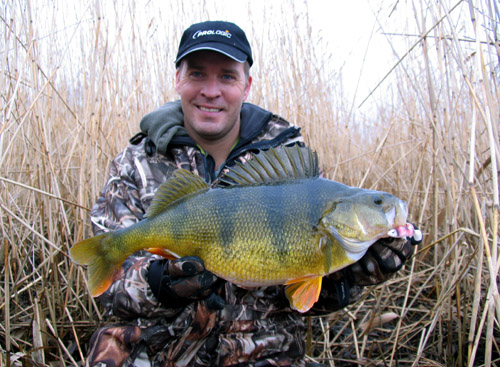 Monster 5lb 2oz perch – Total Fishing