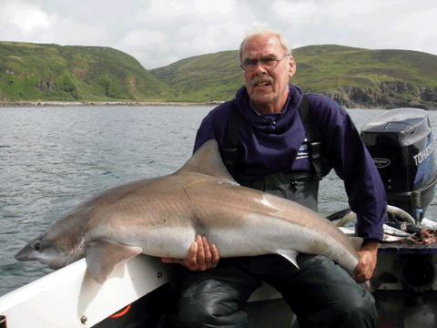Scottish Shark Tagging Programme – Total Fishing