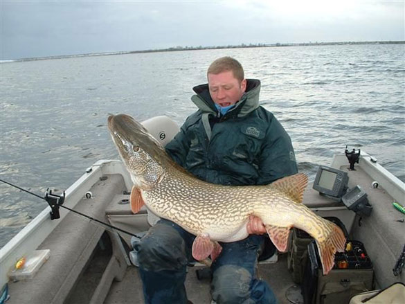 Incredible pike pictures – Total Fishing