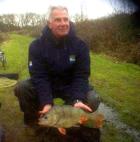 Massive Perch Caught By Match Angler – Total Fishing