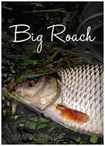 Big Roach by Mark Wintle – Total Fishing