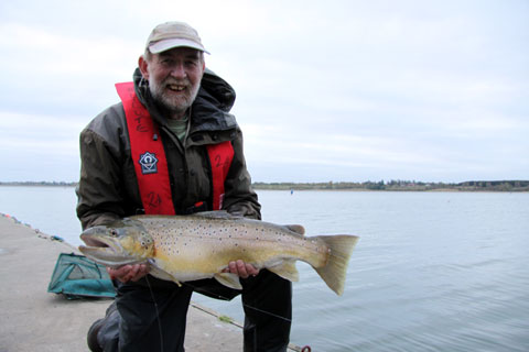 Huge Draycote Brown Trout From The Bank – Total Fishing