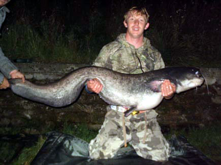 Cats On The Feed AT Shatterford – Total Fishing