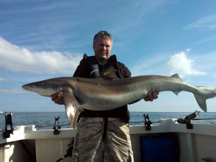 Huge Tope From Carlingford Lough – Total Fishing