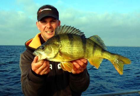 Huge 6lb Perch To Lure Angler – Total Fishing
