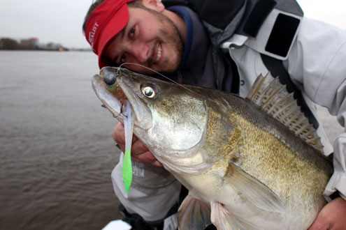 Big Zander For Zebco Man – Total Fishing