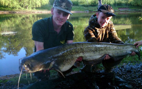 Carp And Cats On The Feed At Shatterford – Total Fishing