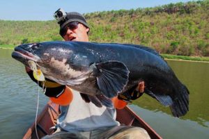 World Record Giant Snakehead – Total Fishing