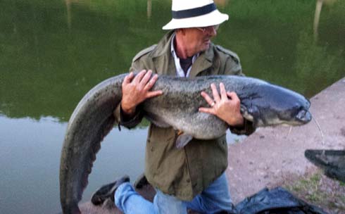 Catfish Record Rocked At Shatterford Lakes – Total Fishing