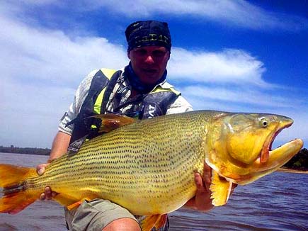Fishing For Giant Freshwater Dorado – Total Fishing