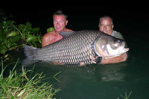 Foster Rocks World Carp Record – Total Fishing