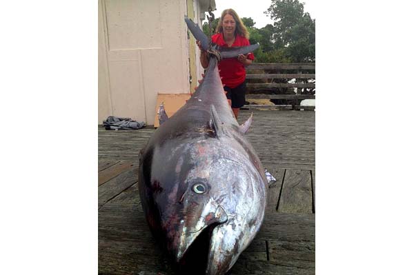 Three hour fight with monster bluefin tuna – Total Fishing