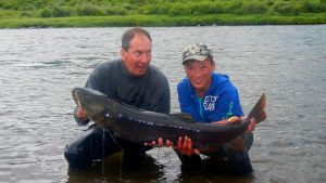 Monster Mongolian Taimen For British Angler – Total Fishing