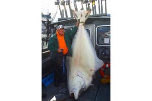 Halibut Over IGFA World Record Caught Off Alaska – Total Fishing