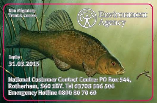 Review of need for two rod licences for big fish anglers announced ...