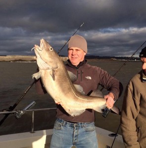 33lb cod caught just off South Wales – Total Fishing
