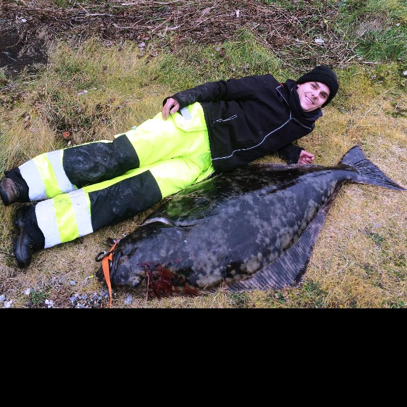 Huge halibut from the shore – Total Fishing