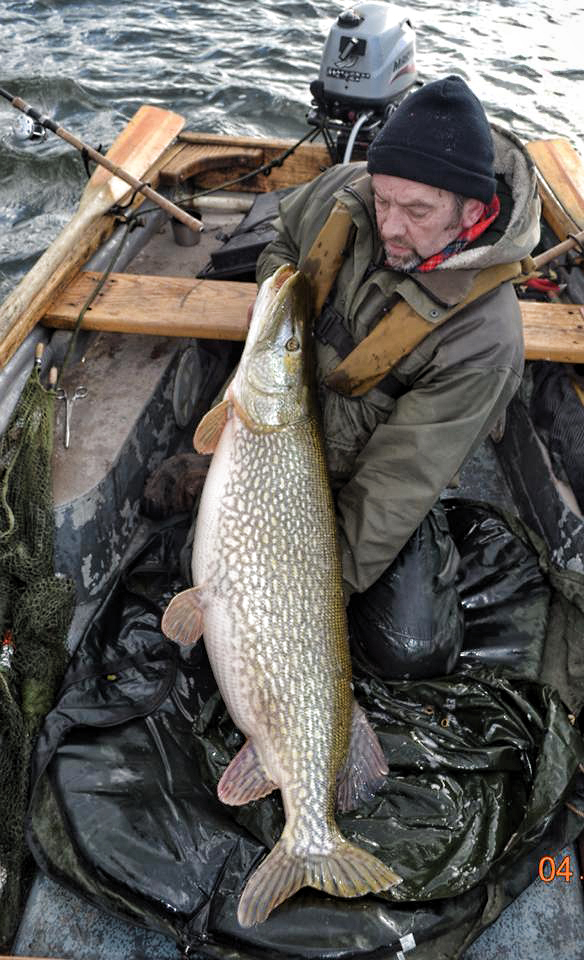 42lb pike caught in first week of Chew trials – Total Fishing