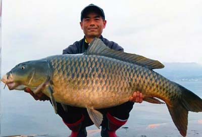 World IGFA record common carp – Total Fishing