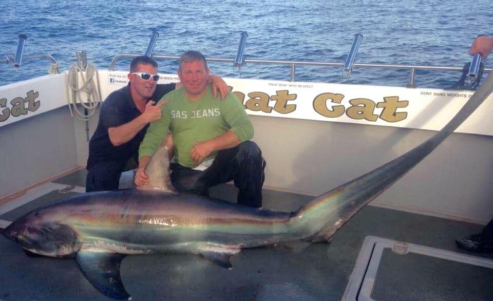Welsh record thresher shark – Total Fishing