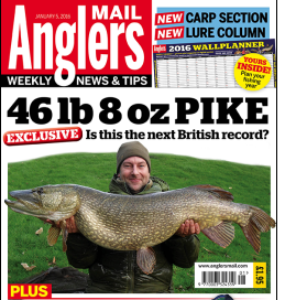 Record shaking pike banked in England – Total Fishing