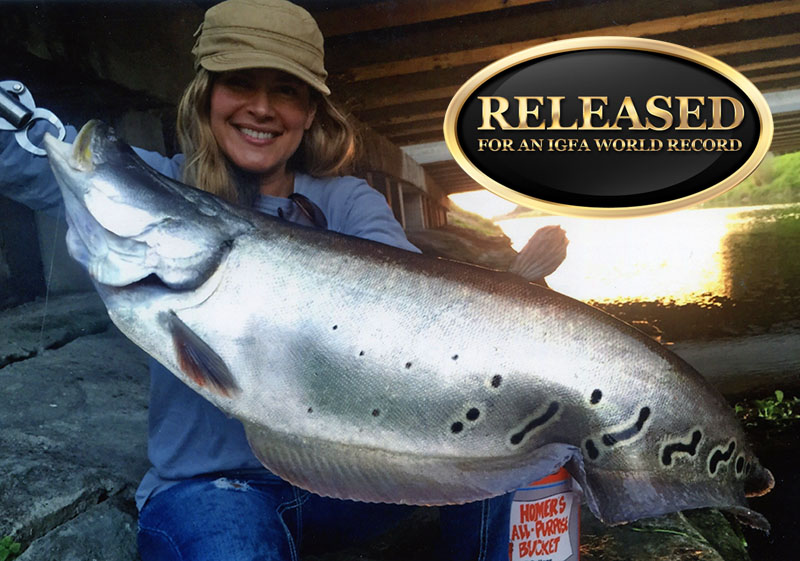 Nicky’s world record knife fish – Total Fishing