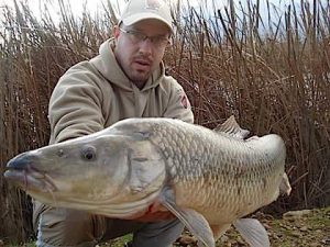 World record comizo barbel banked – Total Fishing