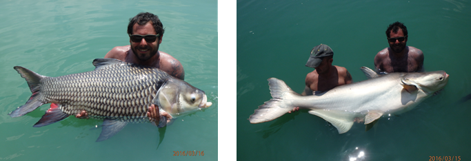 My unbelievable year of international fishing…. – Total Fishing