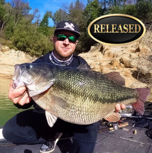 World record spotted bass – Total Fishing