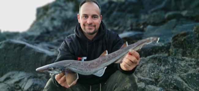 Three new record British fish ratified: ide, crucian carp, black ...
